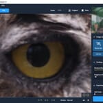 Best Photo Sharpening Software: 7 Picks in 2024