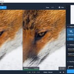 Best Photo Sharpening Software: 7 Picks in 2024