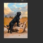 Best Sky Replacement Software in 2024 (Enhance Your Photos!)