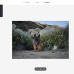 cutout.pro Review: How Does This Photo Cutout Technology Perform?