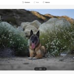 cutout.pro Review: How Does This Photo Cutout Technology Perform?