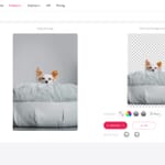 cutout.pro Review: How Does This Photo Cutout Technology Perform?