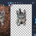 cutout.pro Review: How Does This Photo Cutout Technology Perform?