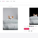 cutout.pro Review: How Does This Photo Cutout Technology Perform?