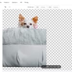 cutout.pro Review: How Does This Photo Cutout Technology Perform?