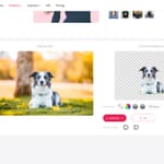 cutout.pro Review: How Does This Photo Cutout Technology Perform?