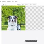 cutout.pro Review: How Does This Photo Cutout Technology Perform?