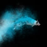 cutout.pro Review: How Does This Photo Cutout Technology Perform?