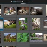 Best Photo Organizing Software for Mac (11 Paid and Free Programs)