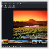 Best Software to Organize Your Photos on a Windows PC (Free and Paid!)