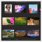 Best Software to Organize Your Photos on a Windows PC (Free and Paid!)