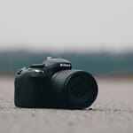 Buying a Nikon Camera with Autofocus Motor: What You Should Know