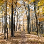 Breaking Photography Rules: 10 Rules You Can Break for Better Photos