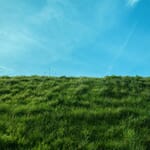 The Ultimate Guide to Composition in Photography