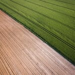 Diagonals in Photography: A Comprehensive Guide