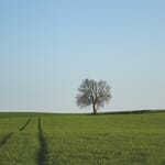 Diagonals in Photography: A Comprehensive Guide