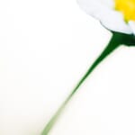 How to Edit Photos: The Ultimate Guide to Stunning Photo Editing