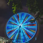 EVF vs OVF: Which Is Better for Photographers Today?