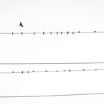 High Contrast Lighting in Photography: The Ultimate Guide