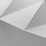 High Contrast Lighting in Photography: The Ultimate Guide