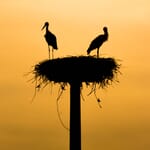 How Light Direction Affects Photography: A Comprehensive Guide