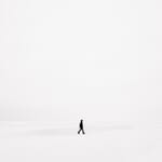 Negative Space in Photography: The Essential Guide for Beautiful ...
