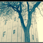 Photography Editing Styles: A Guide to the Most Popular Styles Today