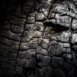 Textures in Photography: The Ultimate Guide