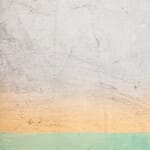 Textures in Photography: The Ultimate Guide