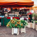 Spring Photoshoot Ideas (15 Creative Tips to Get You Inspired)