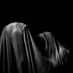 20 Studio Photoshoot Ideas for Products, People, and Pets