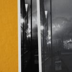 Glossy vs Matte Photo Prints: Which Printing Finish Is Better?