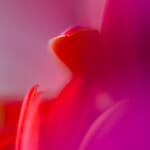 Aperture Priority Mode in Photography: A Complete Guide