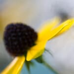 Aperture Priority Mode in Photography: A Complete Guide