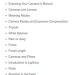 Best Online Photography Courses in 2024 to Take from Home