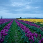 The Best Time to Take Pictures Outside: A Quick Guide