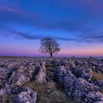 The Best Time to Take Pictures Outside: A Quick Guide