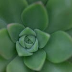 The 4 Best Camera Settings for Indoor Photography