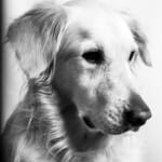 The 4 Best Camera Settings for Indoor Photography