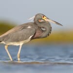 5 Simple DSLR Settings Every Beginner Photographer Must Know