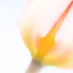 Exposure Compensation Guide: Everything You Need to Know