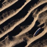 20 Macro Photography Ideas for Stunning Photos