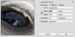 Preparing Your Photos For Large Canvas Prints A Step By Step Guide
