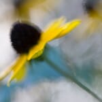 How to Use Lines in Photography: 5 Tips for Stunning Photos