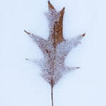 How to Use Lines in Photography: 5 Tips for Stunning Photos