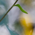 How to Use Lines in Photography: 5 Tips for Stunning Photos