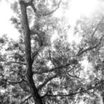 How to Use Lines in Photography: 5 Tips for Stunning Photos