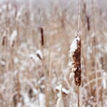 How to Use Lines in Photography: 5 Tips for Stunning Photos