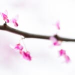 How to Use Lines in Photography: 5 Tips for Stunning Photos