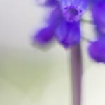 How to Use Lines in Photography: 5 Tips for Stunning Photos